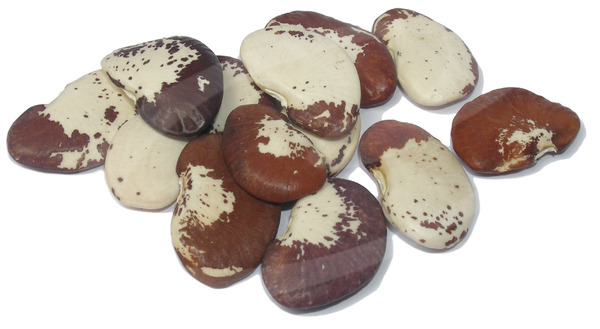 Garrofon Paella Bonen